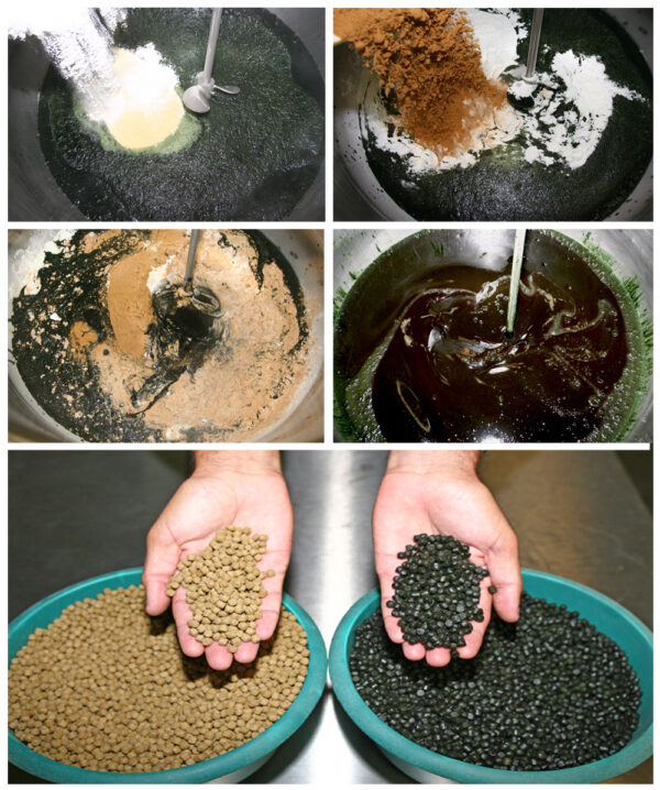 - Dainichi Fish Food